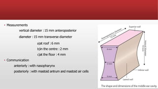 ANATOMY OF MID EAR and related structures.pptx