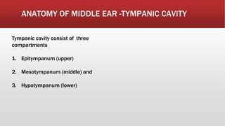 ANATOMY OF MID EAR and related structures.pptx