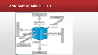 ANATOMY OF MID EAR and related structures.pptx