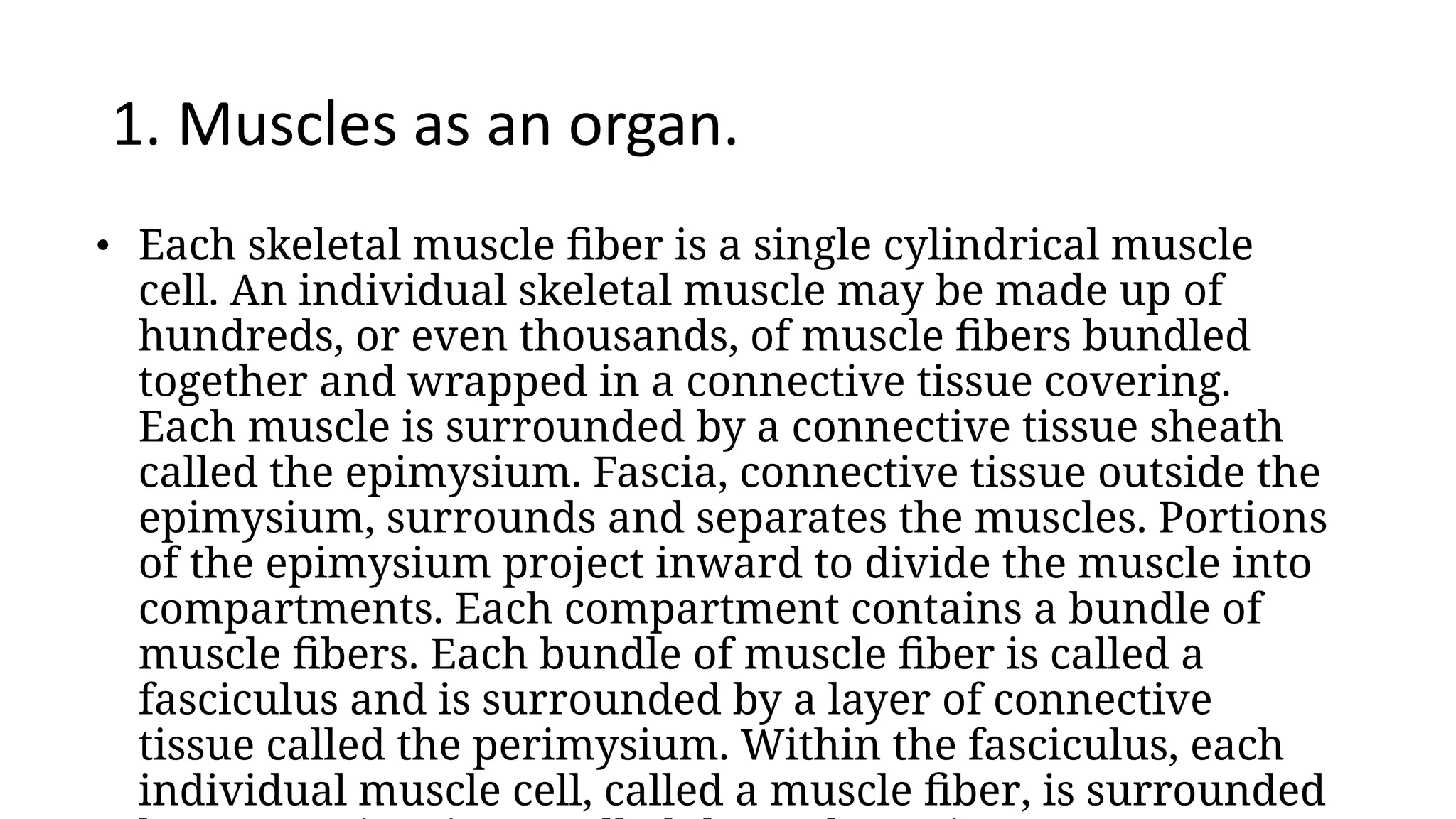 anatomy of MMS 2.pdf