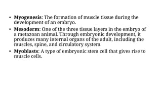anatomy of MMS 2.pdf