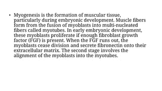 anatomy of MMS 2.pdf