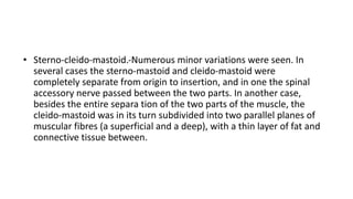 anatomy of MMS 2.pdf
