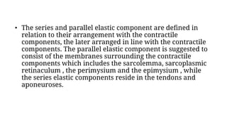 anatomy of MMS 2.pdf