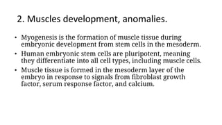 anatomy of MMS 2.pdf