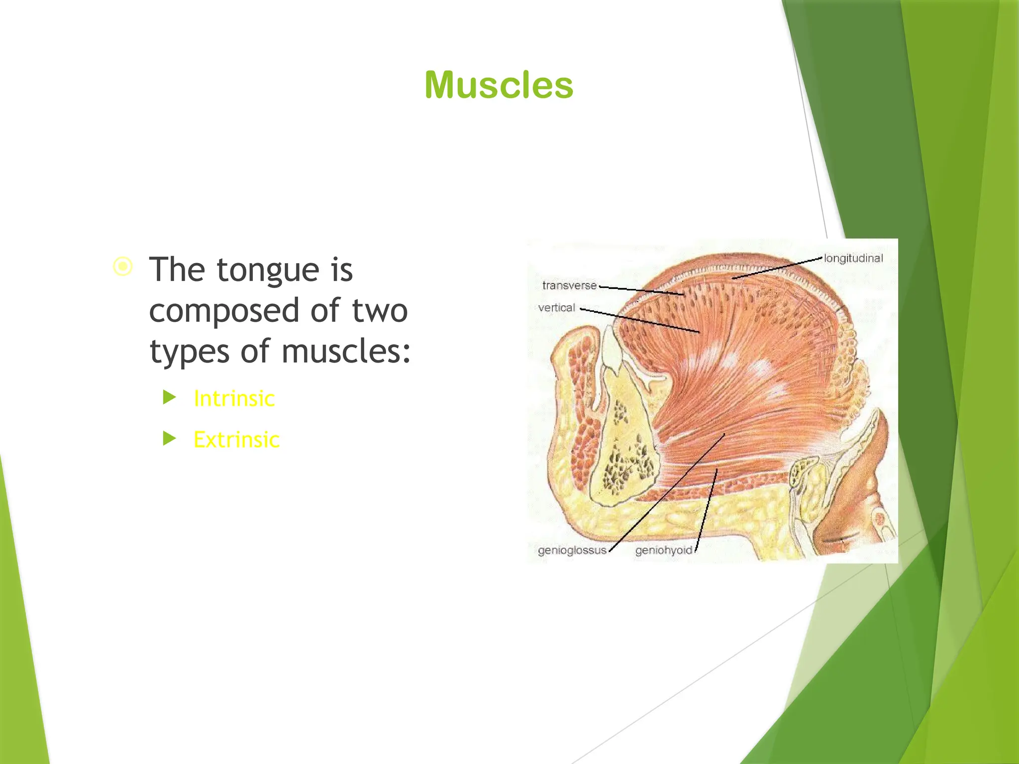 Anatomy of human mouth clearly described.pptx