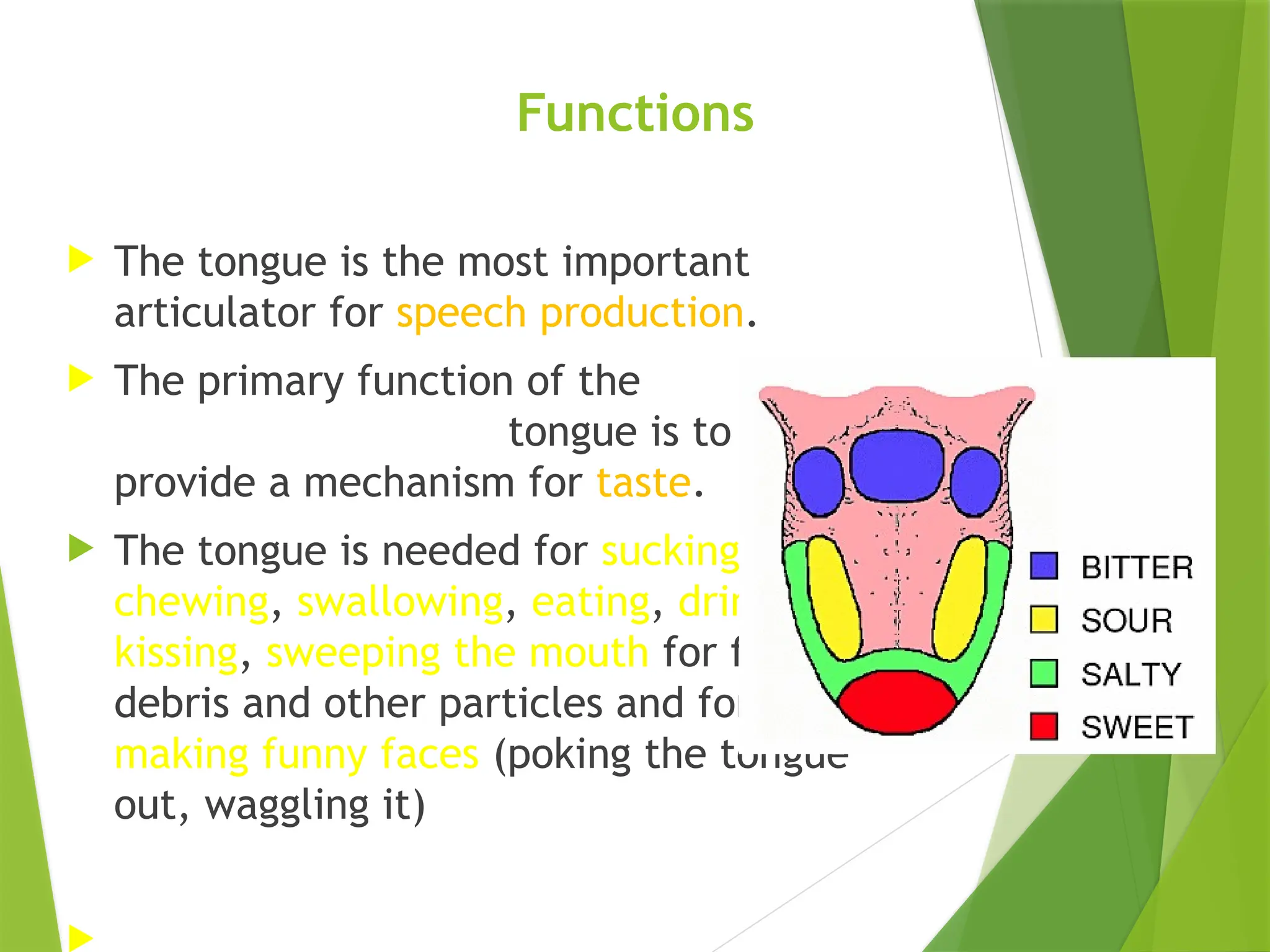 Anatomy of human mouth clearly described.pptx