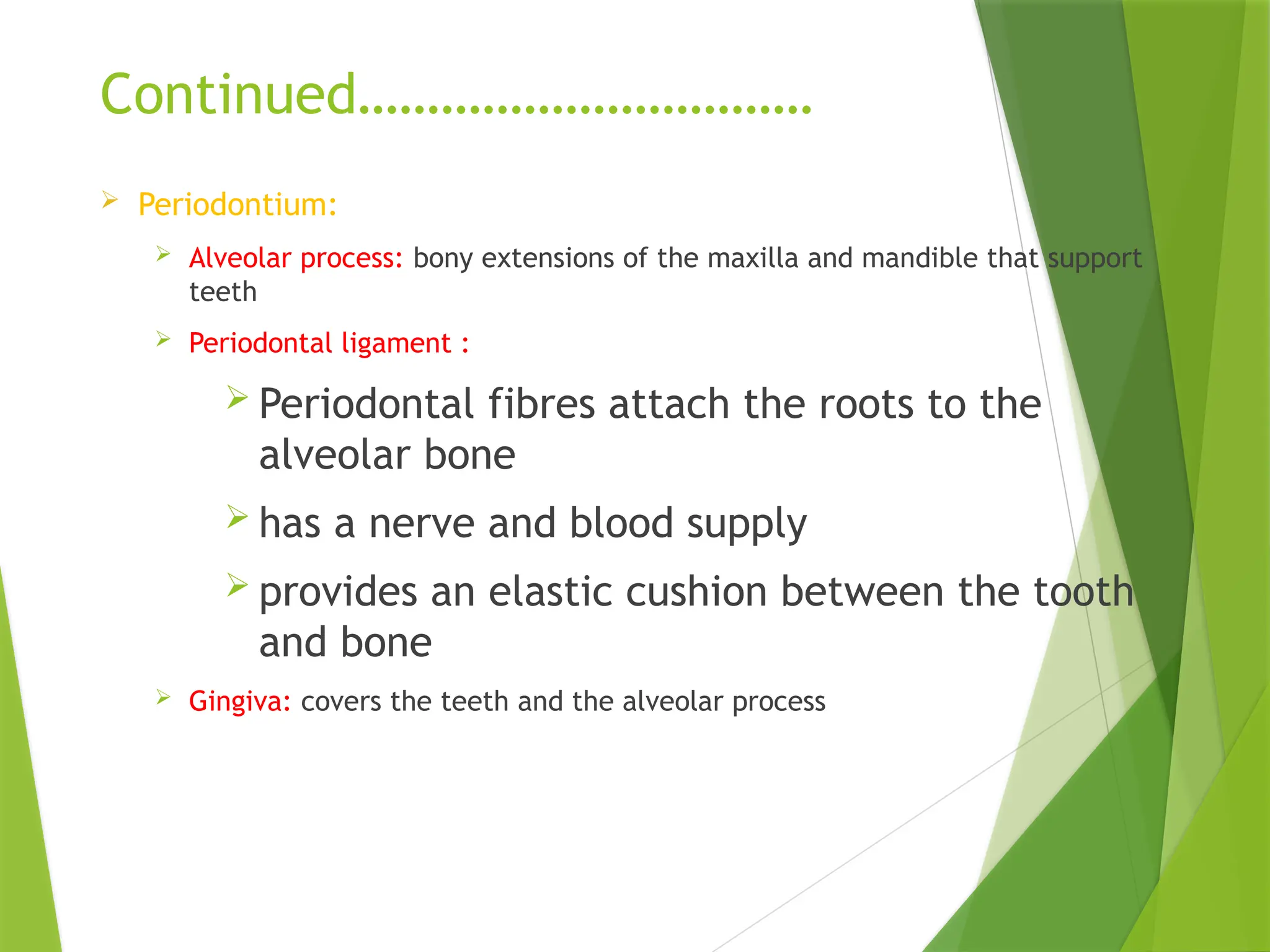 Anatomy of human mouth clearly described.pptx