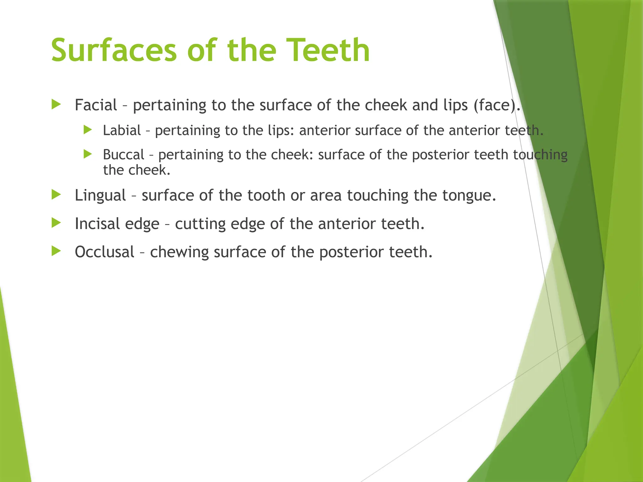 Anatomy of human mouth clearly described.pptx