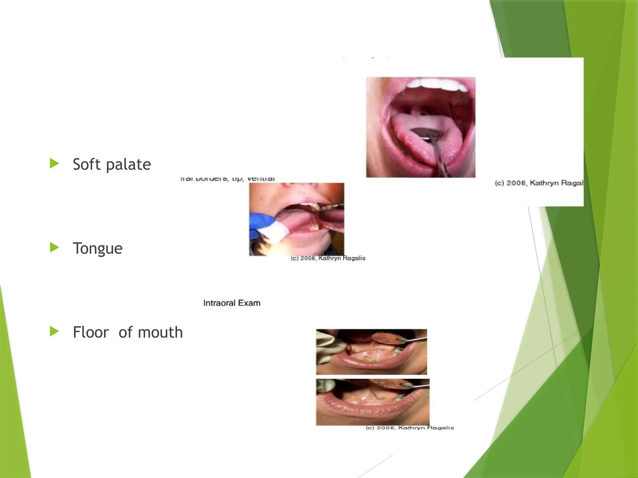 Anatomy of human mouth clearly described.pptx