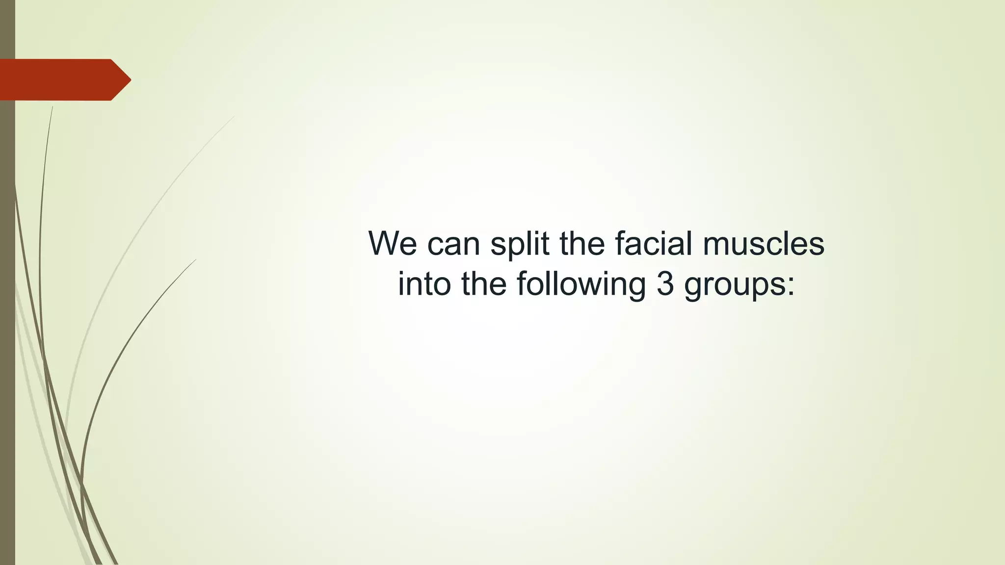 anatomy of muscluse.pptx