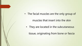 anatomy of muscluse.pptx