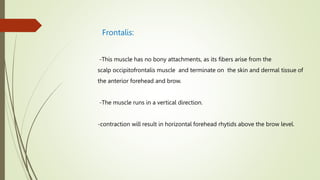 anatomy of muscluse.pptx