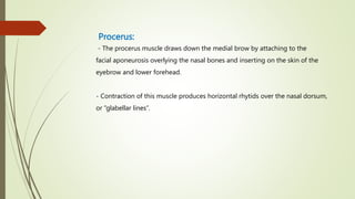 anatomy of muscluse.pptx