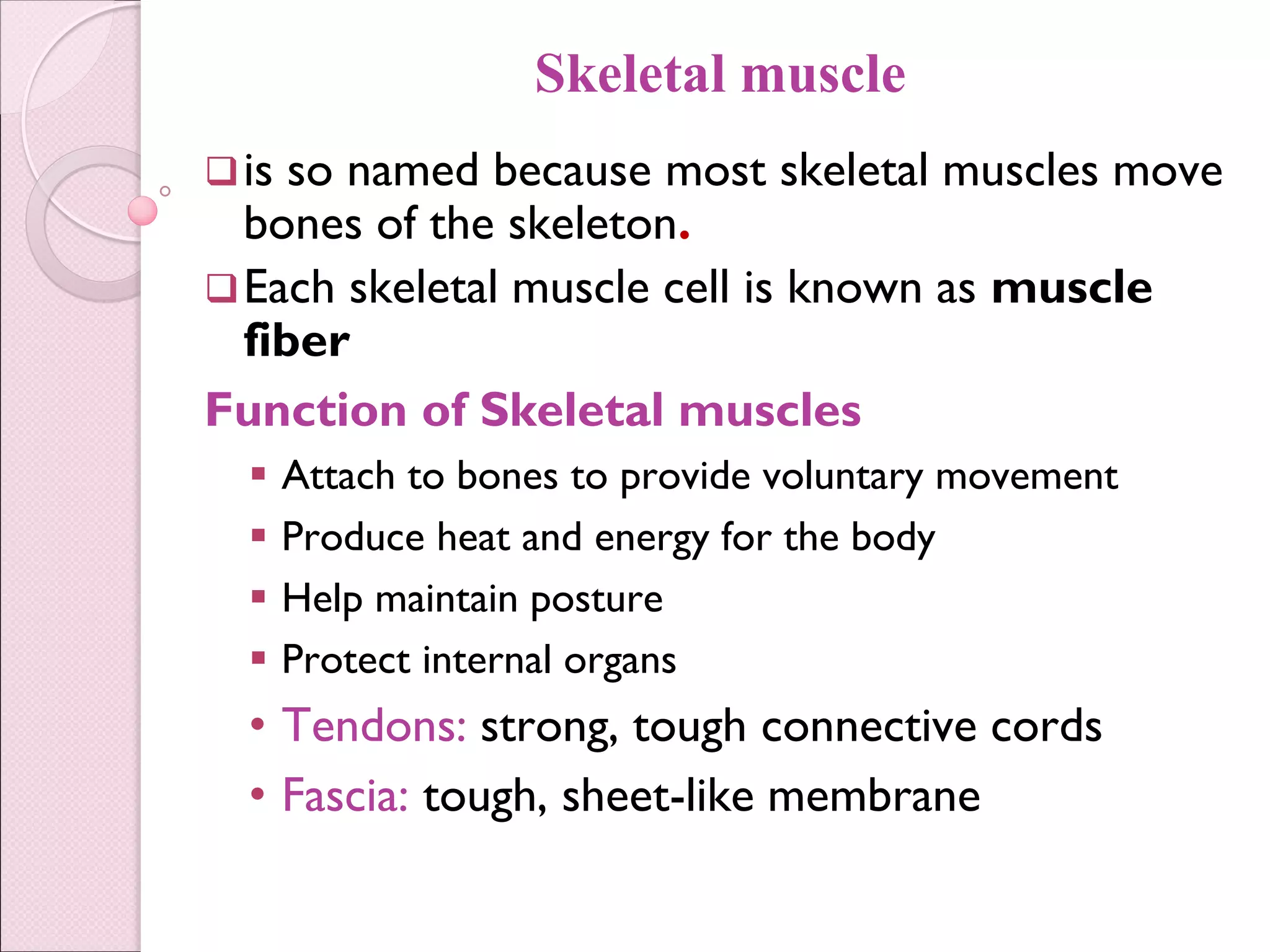 Anatomy of Muscular system.pdf