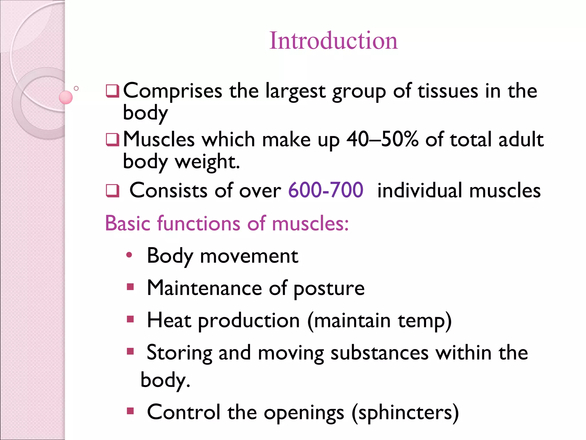 Anatomy of Muscular system.pdf
