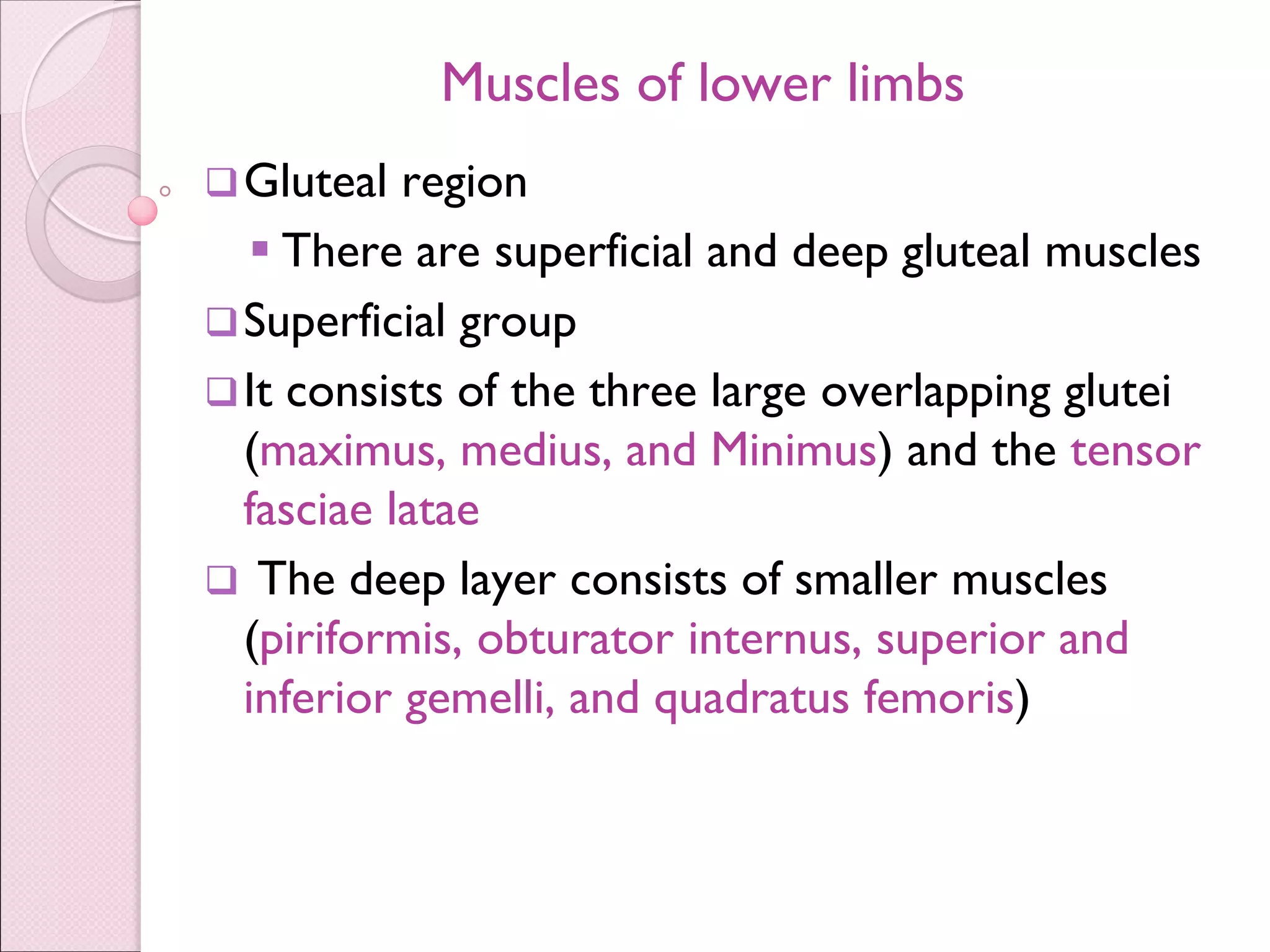 Anatomy of Muscular system.pdf