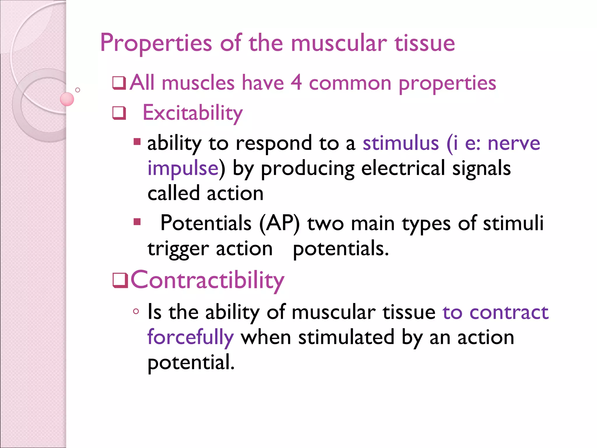 Anatomy of Muscular system.pdf