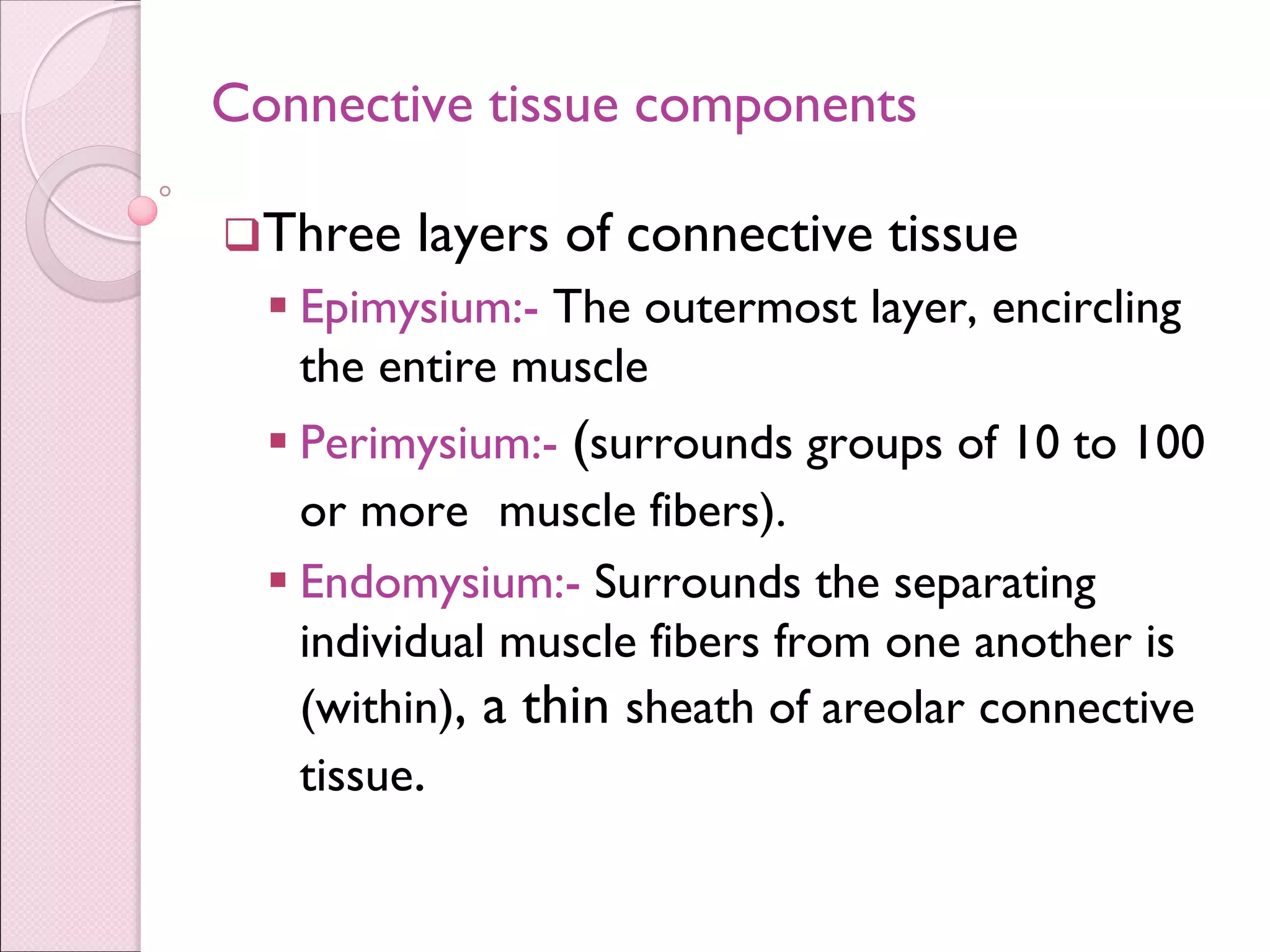 Anatomy of Muscular system.pdf