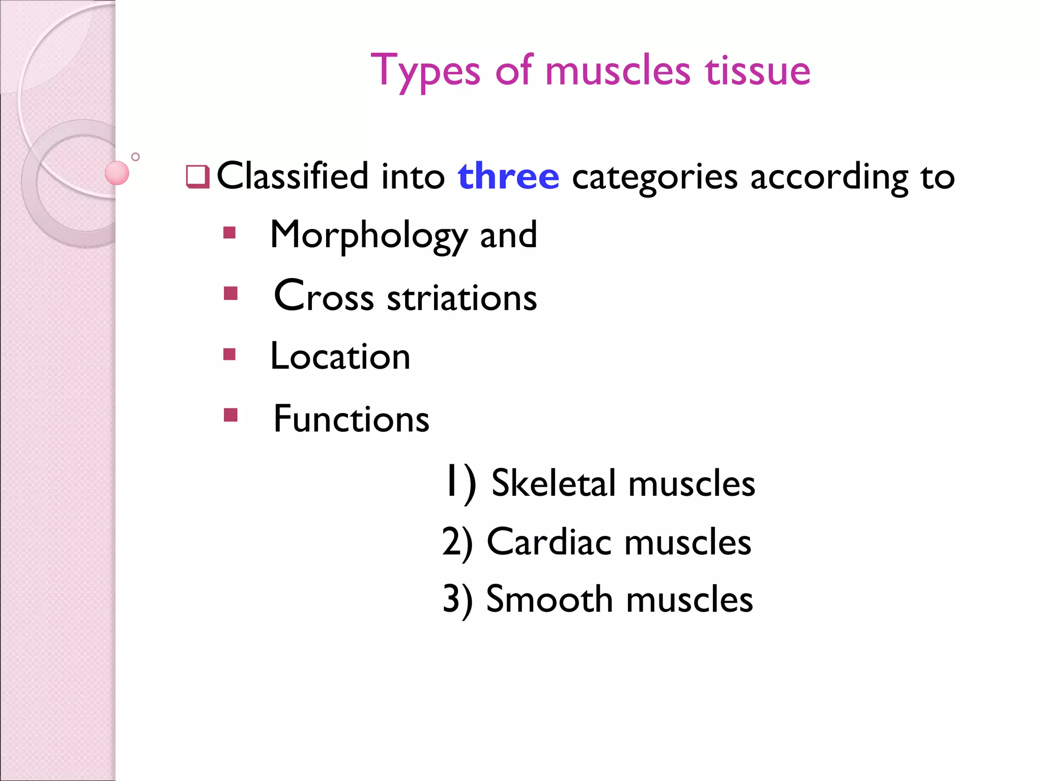 Anatomy of Muscular system.pdf