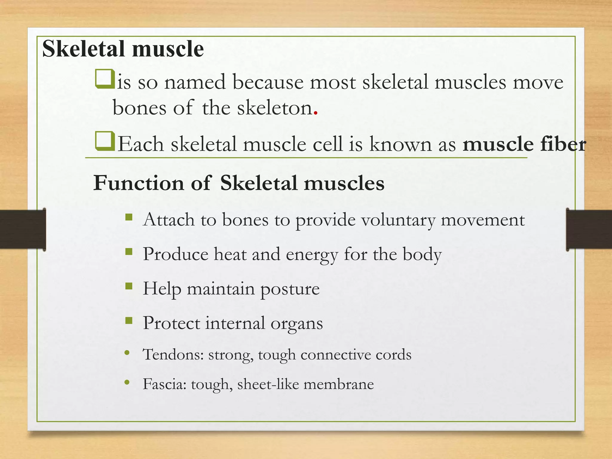 Anatomy of Muscular system.ppt
