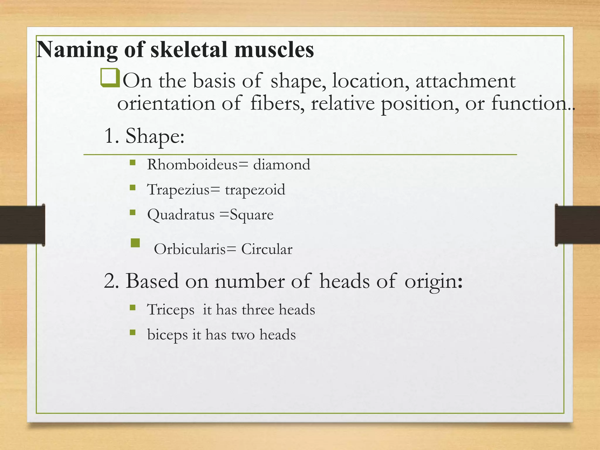 Anatomy of Muscular system.ppt