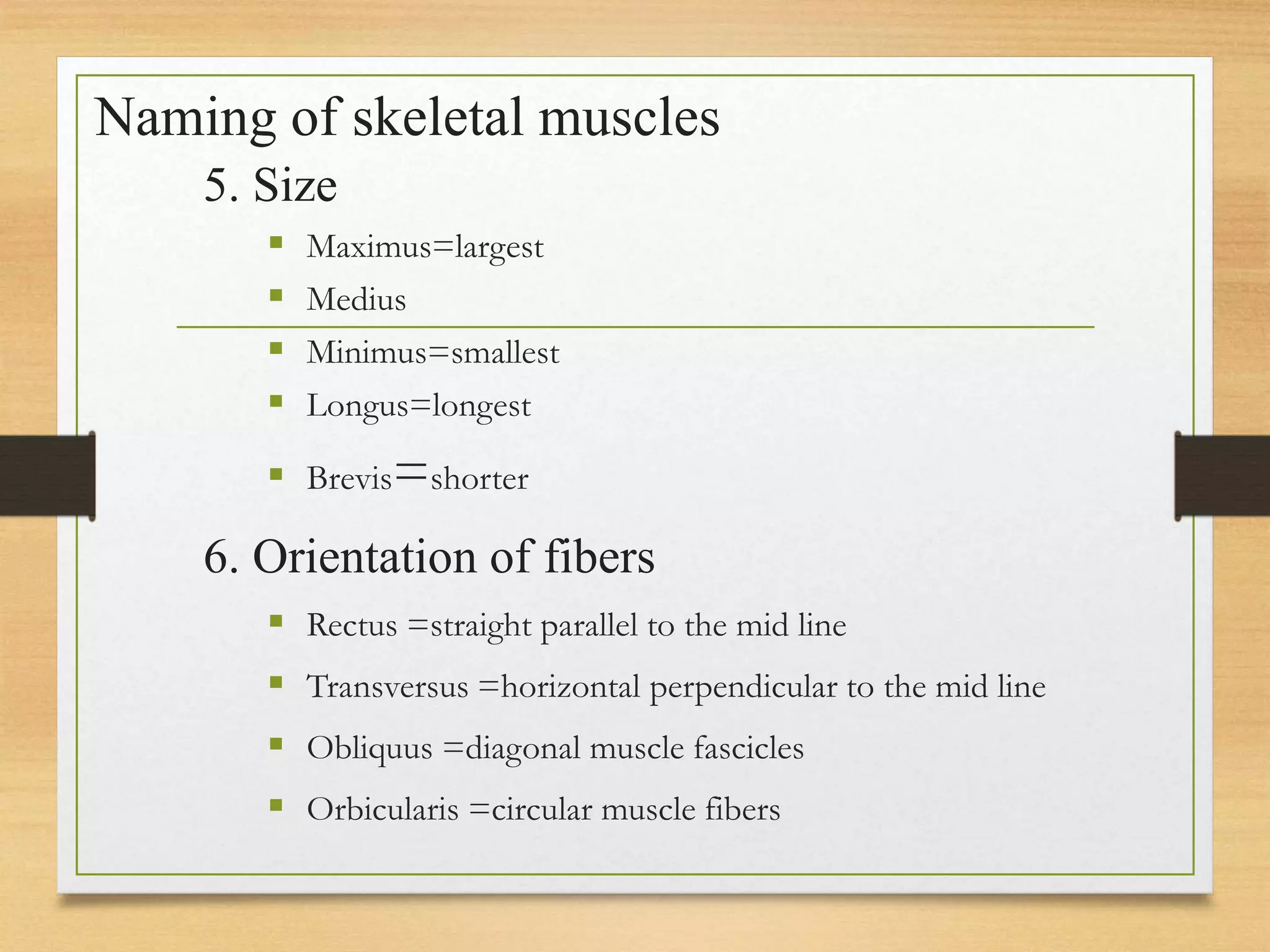 Anatomy of Muscular system.ppt