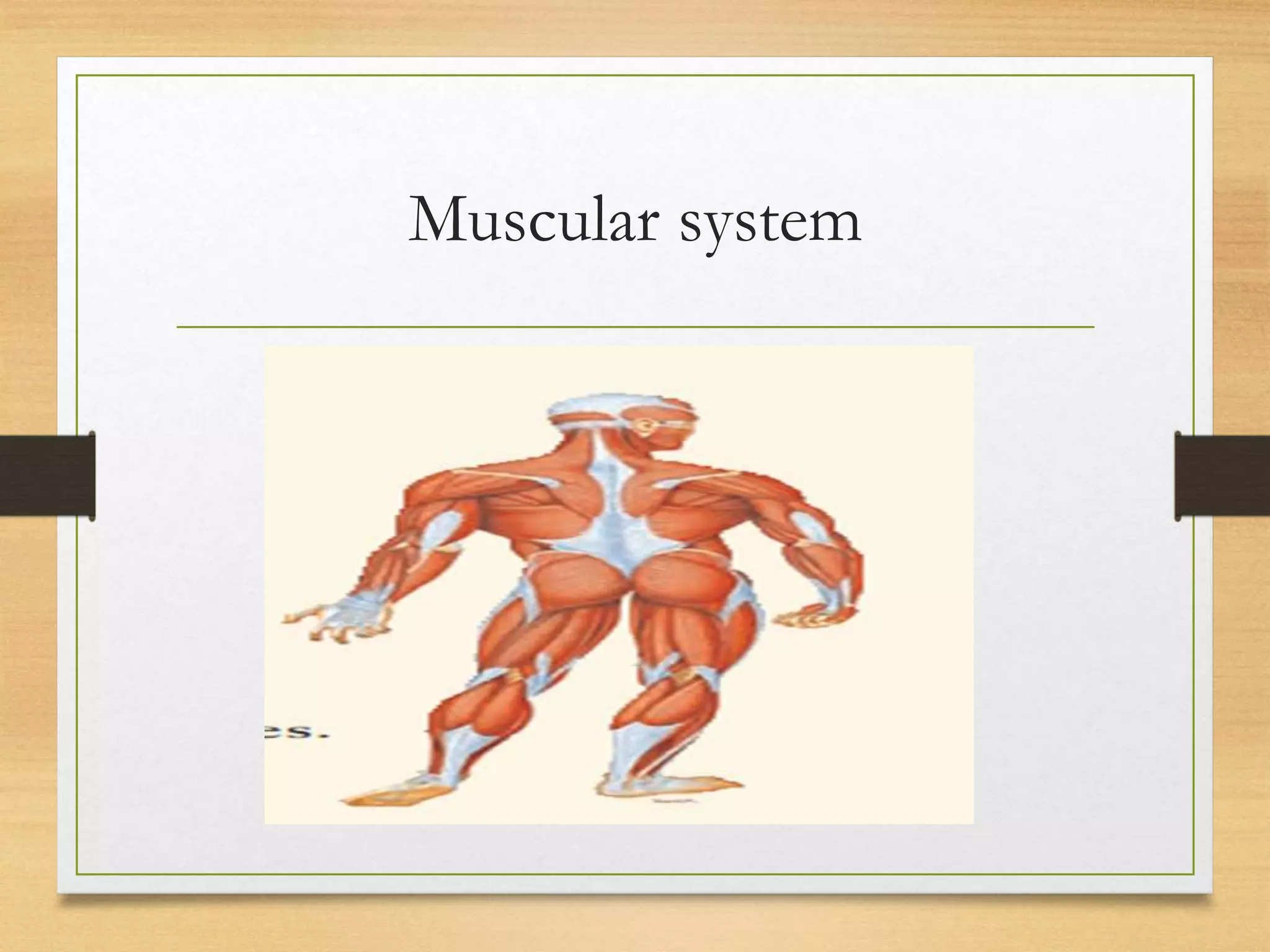 Anatomy of Muscular system.ppt