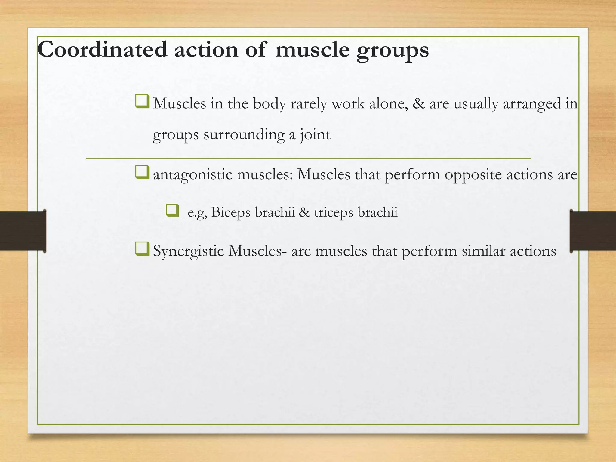 Anatomy of Muscular system.ppt