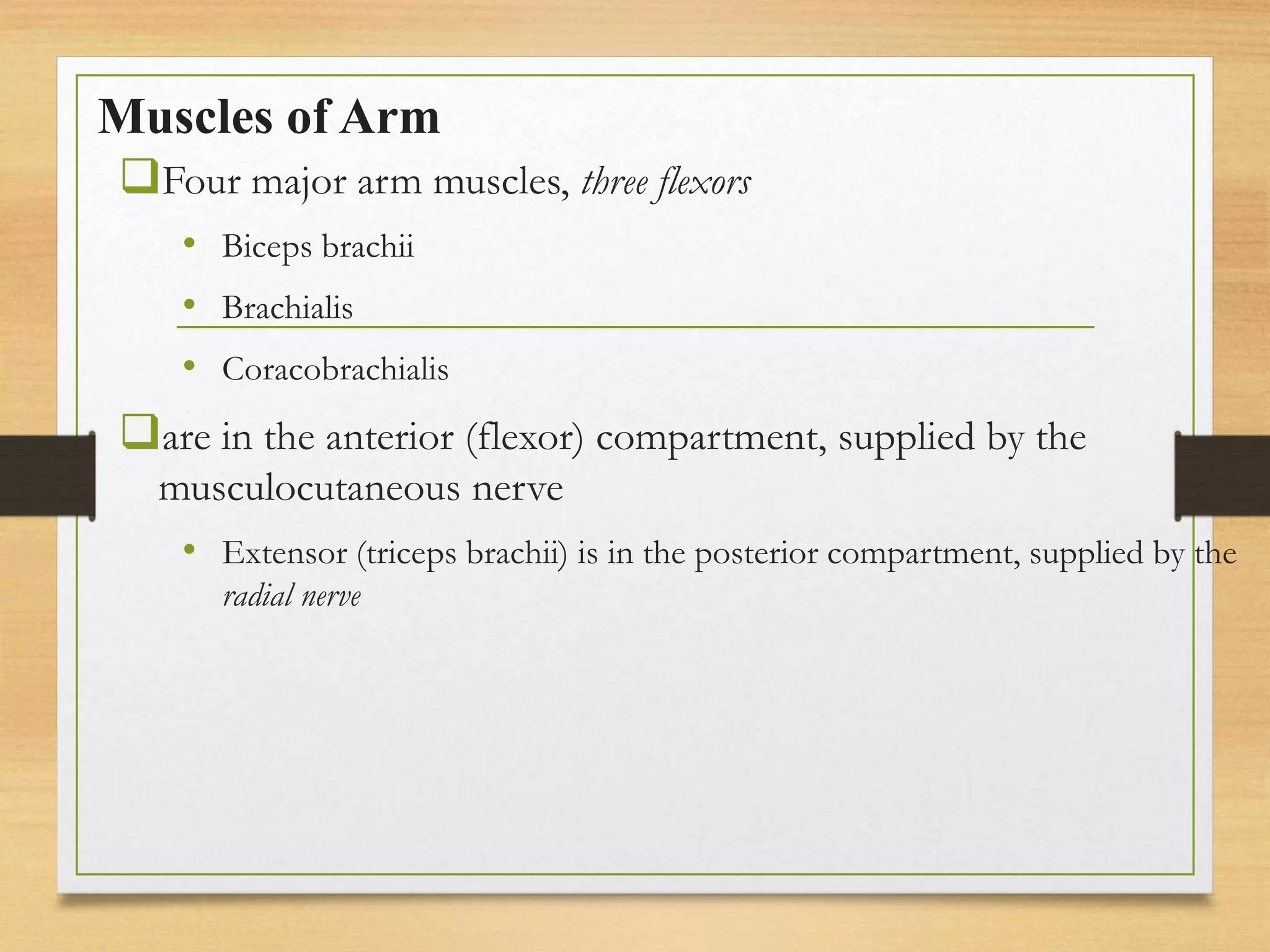 Anatomy of Muscular system.ppt