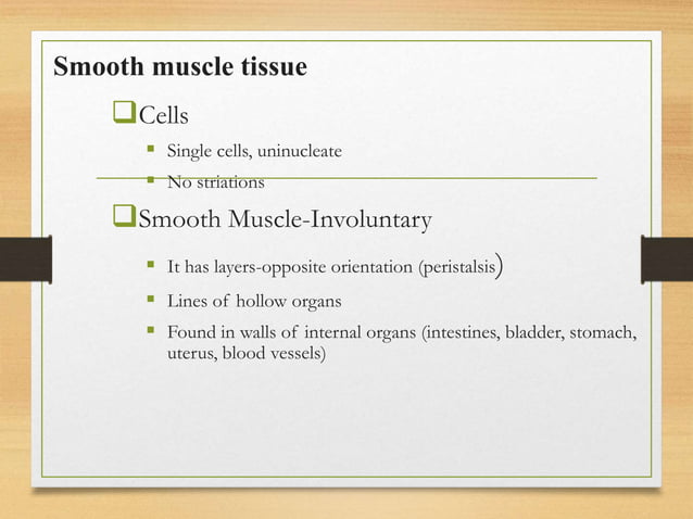 Anatomy of Muscular system.ppt