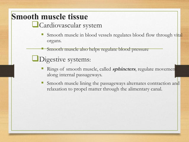 Anatomy of Muscular system.ppt