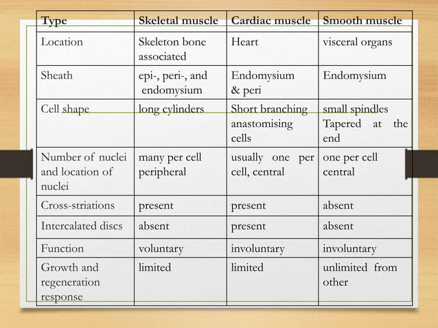 Anatomy of Muscular system.ppt