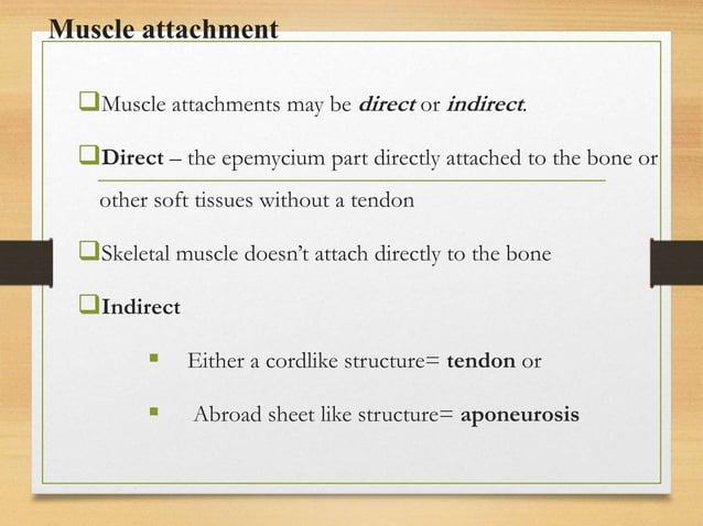Anatomy of Muscular system.ppt