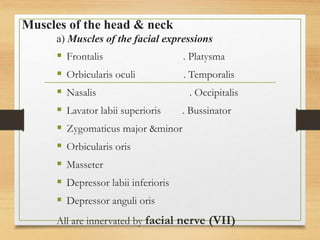 Anatomy of Muscular system.ppt