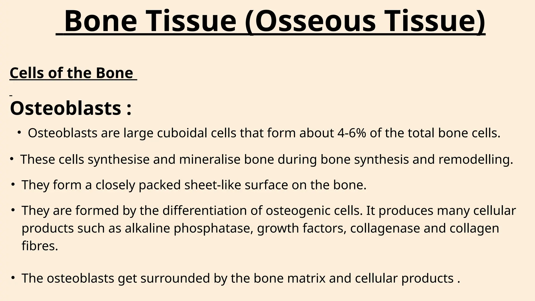 ANATOMY OF MUSCULOSKELETAL.pptx The muscle | PPTX