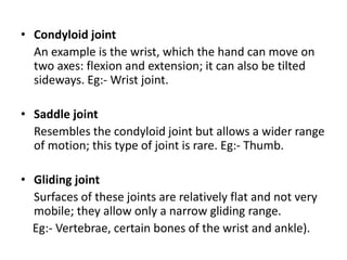 Anatomy of musculoskeletal system | PPTX