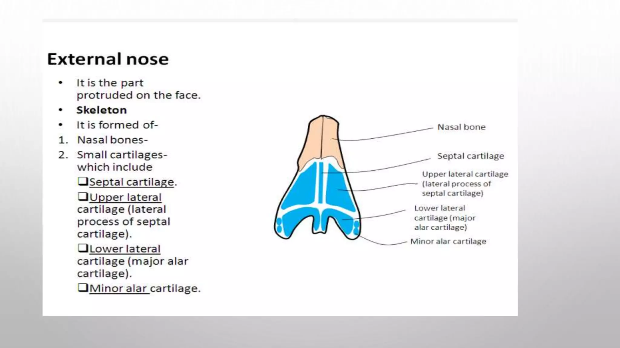 Anatomy of nasal cavity.pptx