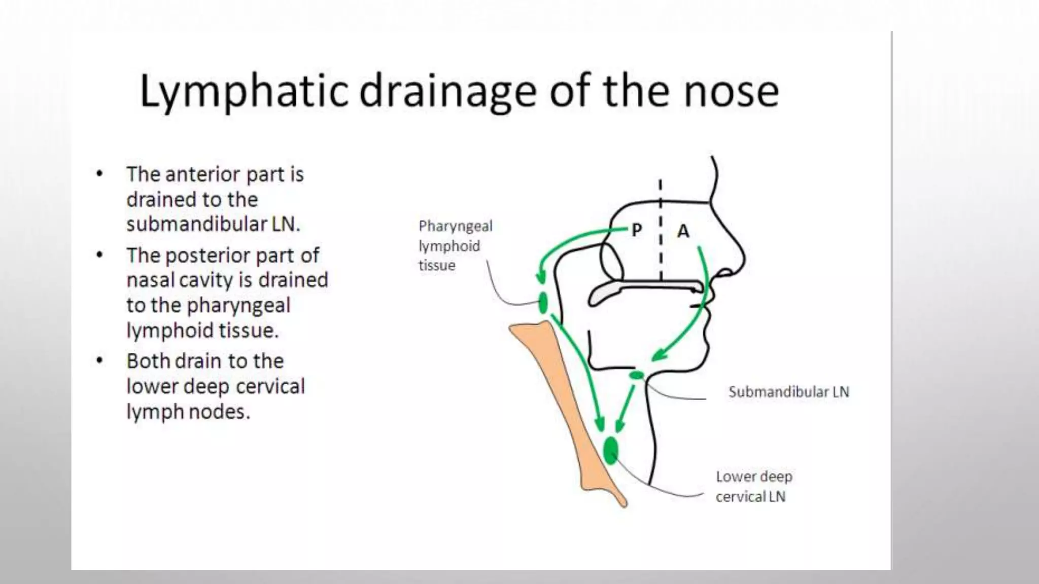 Anatomy of nasal cavity.pptx