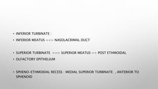 Anatomy of nasal cavity.pptx