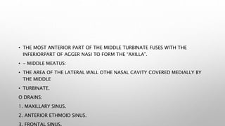 Anatomy of nasal cavity.pptx