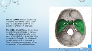Anatomy of nasopharynx | PPTX