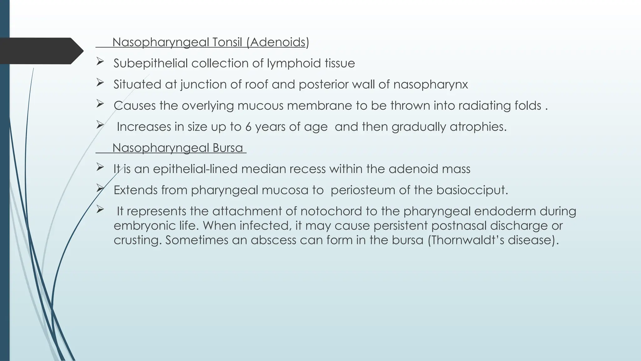 ANATOMY OF NASOPHARYNX 38.pptx, mbbs , ear nose throat | PPTX