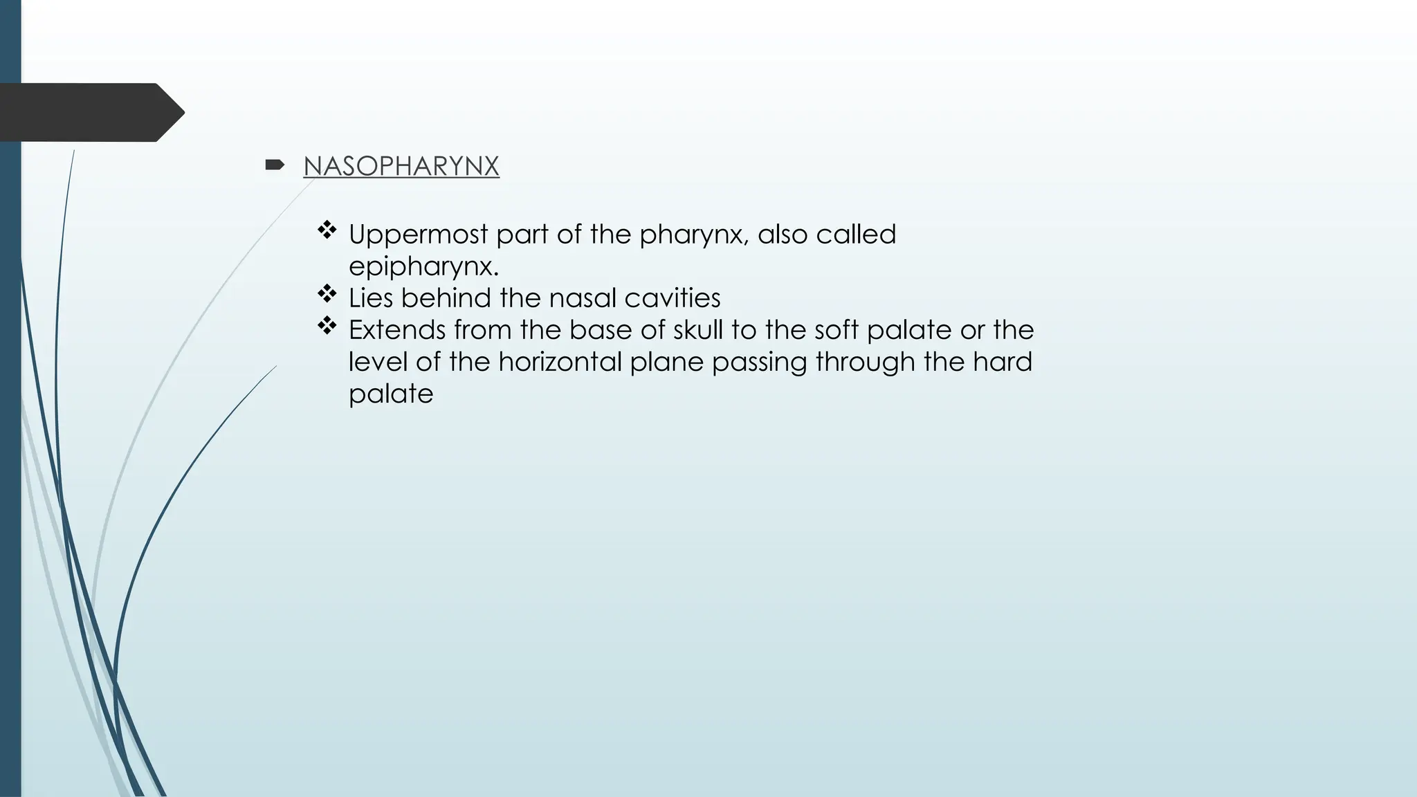 ANATOMY OF NASOPHARYNX 38.pptx, mbbs , ear nose throat | PPTX
