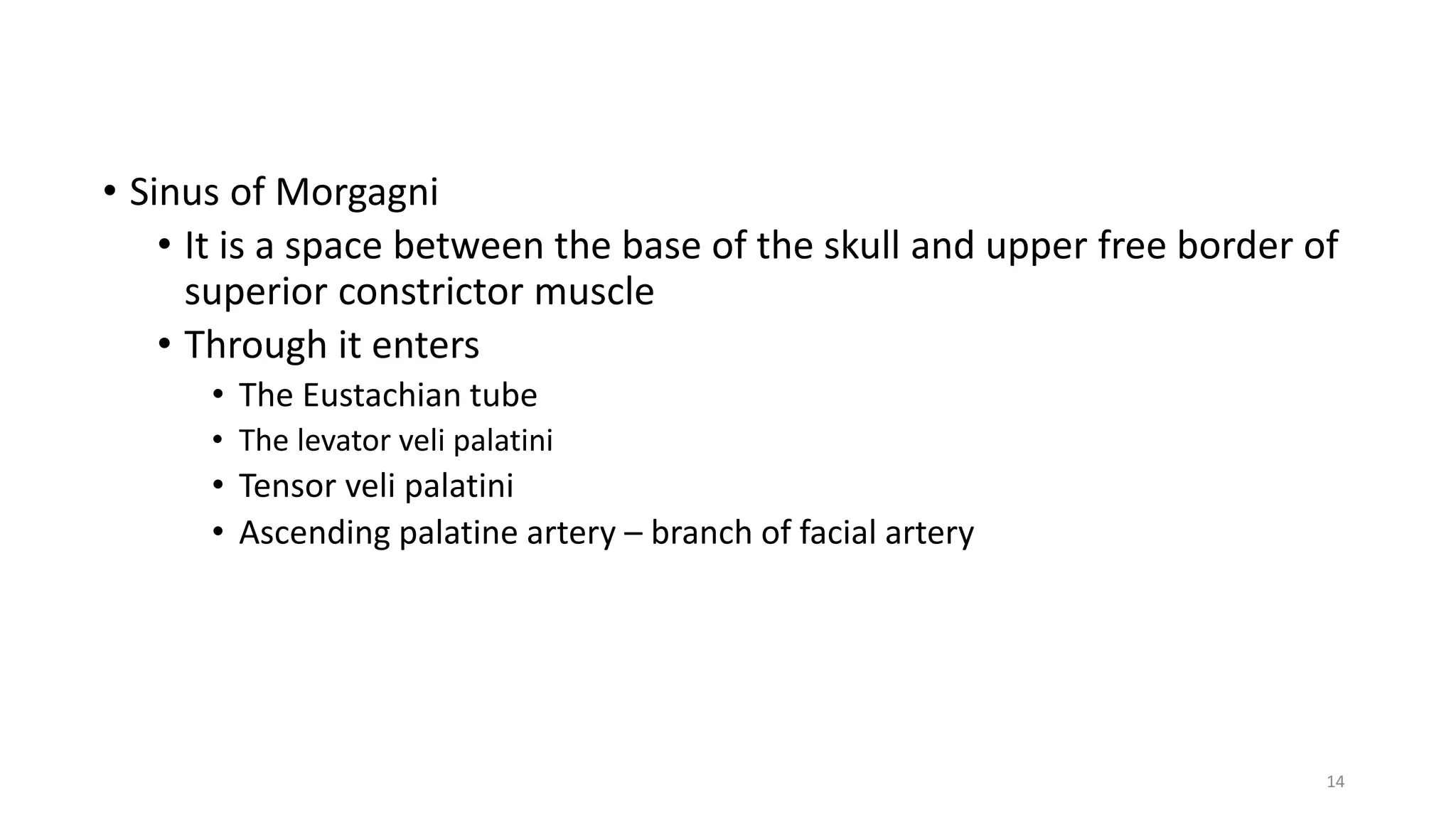 Anatomy of Nasopharynx and Eustachian Tube.pptx