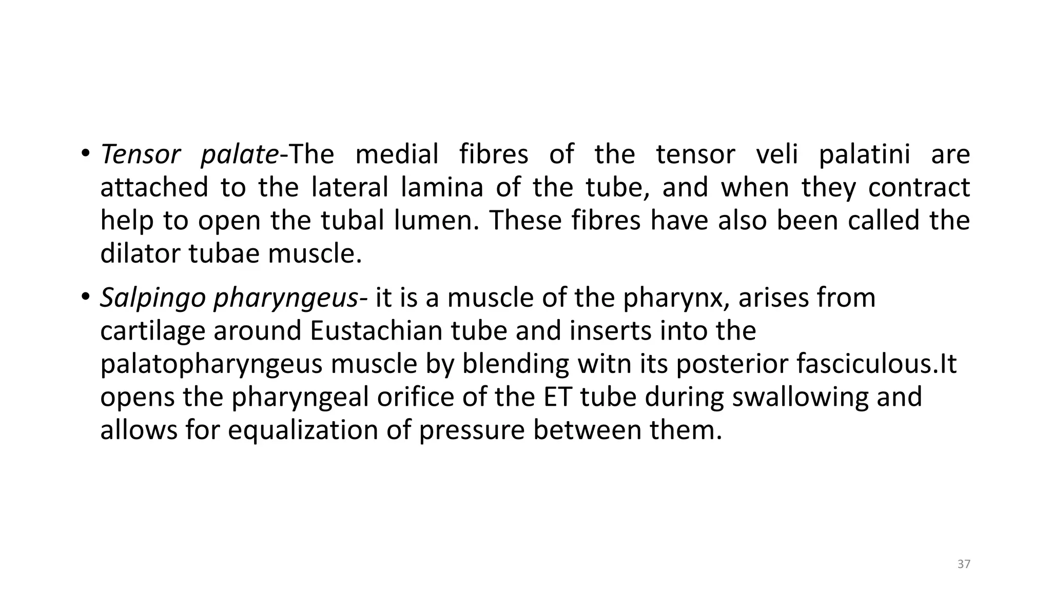 Anatomy of Nasopharynx and Eustachian Tube.pptx