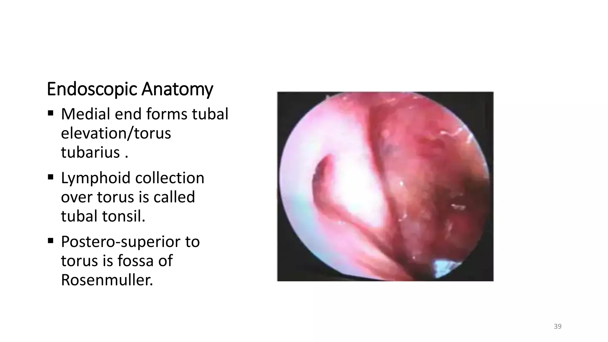 Anatomy of Nasopharynx and Eustachian Tube.pptx