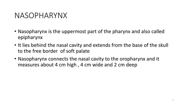 Anatomy of Nasopharynx and Eustachian Tube.pptx | Ear, Nose and Throat ...