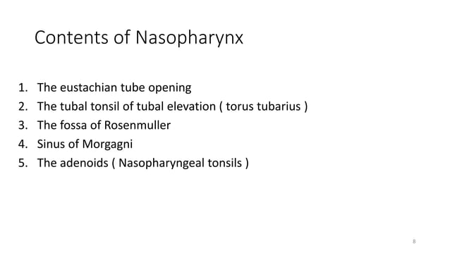 Anatomy of Nasopharynx and Eustachian Tube.pptx | Ear, Nose and Throat ...