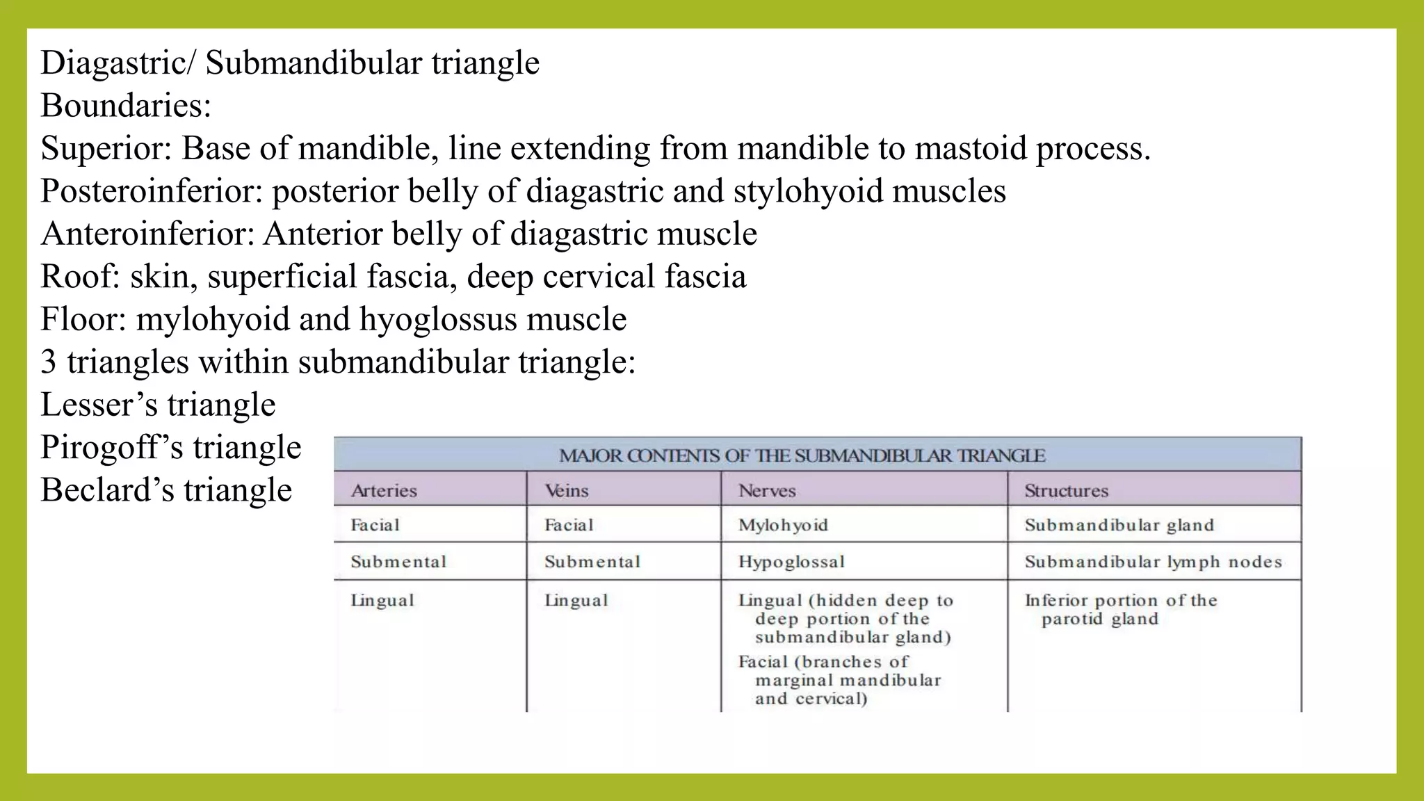 ANATOMY OF NECK.pptx